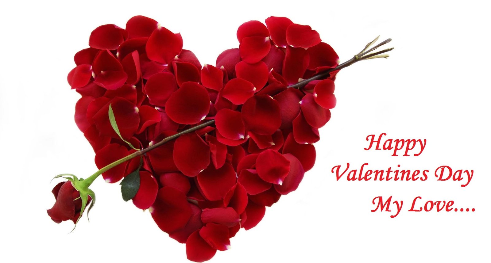 Beautiful Valentines Day Images & Wallpapers
