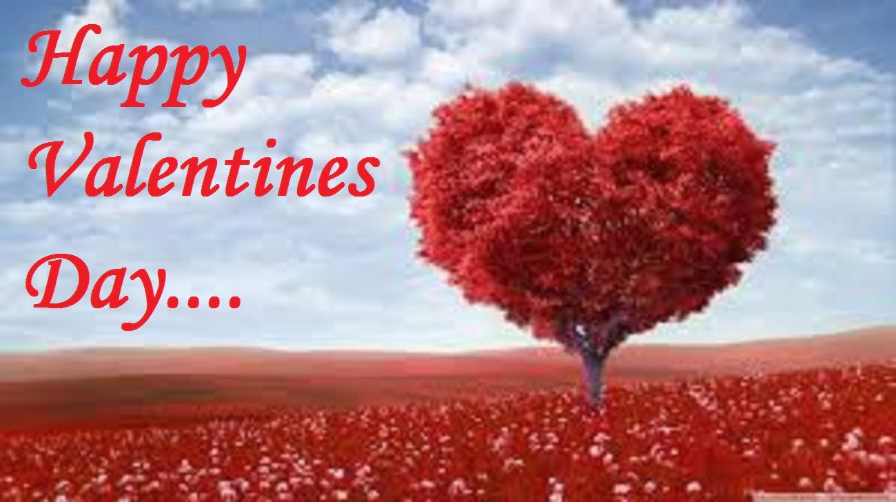 Beautiful Valentines Day Images & Wallpapers