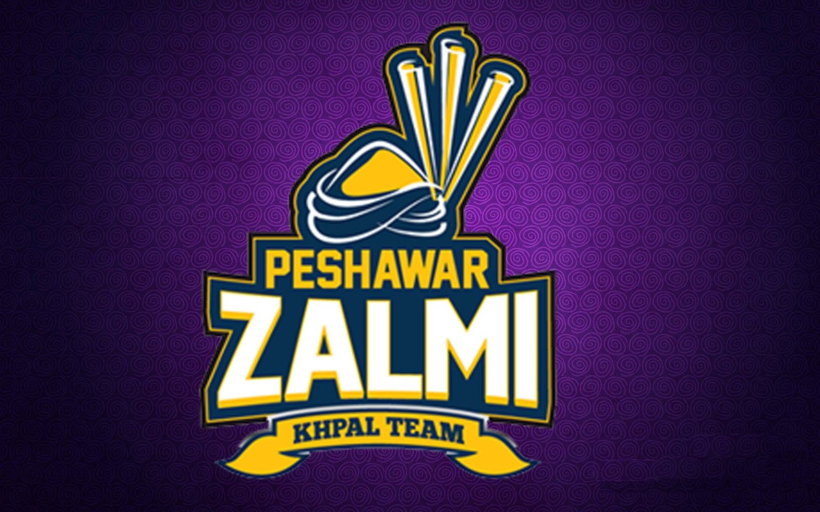 PSL 2017 Logo Wallpapers | All Participating PSL Team Logo Free Download