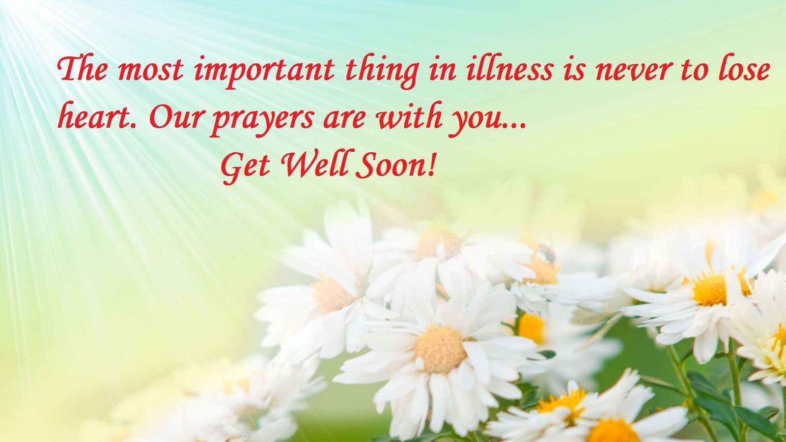 Sweet & Lovely Get Well Wishes 2017 HD Images free download