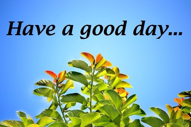 Beautiful Good Day Quotes & Wishes Images 2017