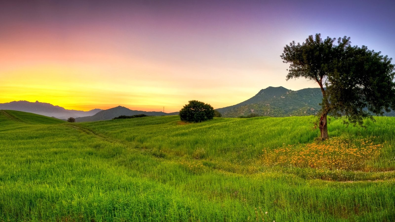 Beautiful Summer Wallpapers & HD Images free download