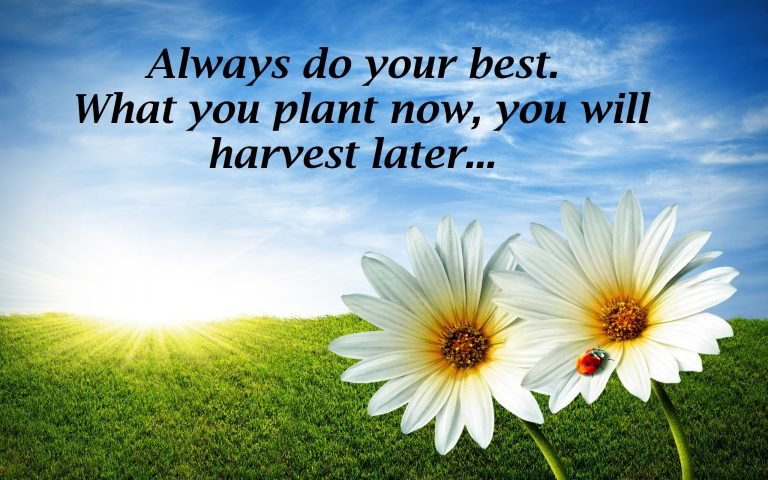 Beautiful Motivational Quotes 2022 Images & Pictures