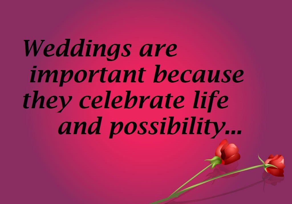 Wedding Congratulations Messages & Quotes With Images