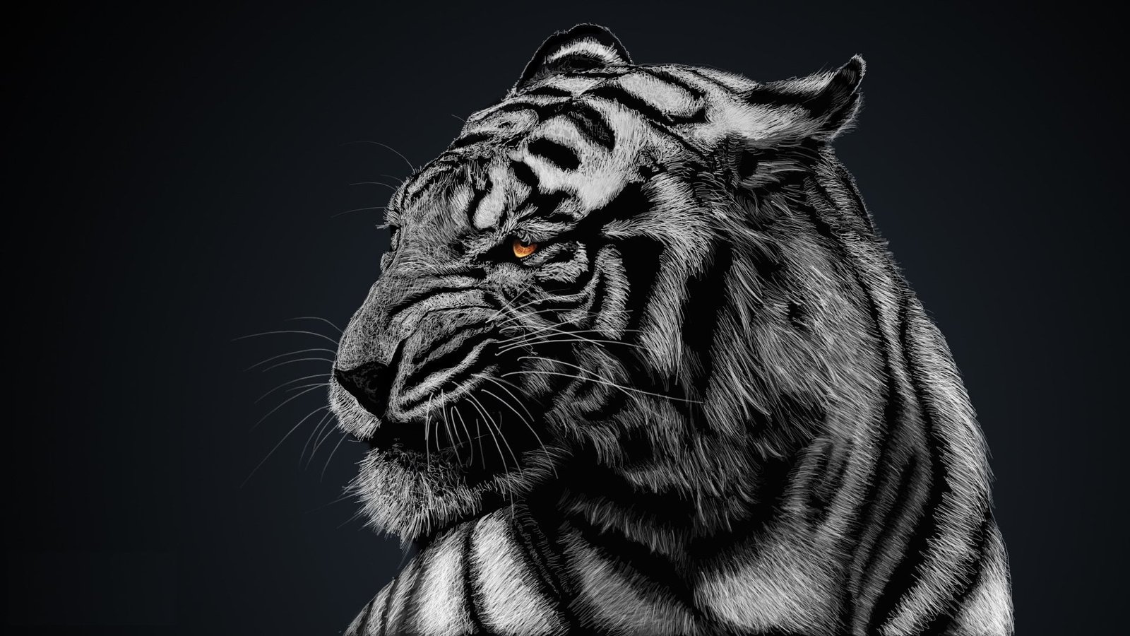 Animals Black Wallpapers & Images