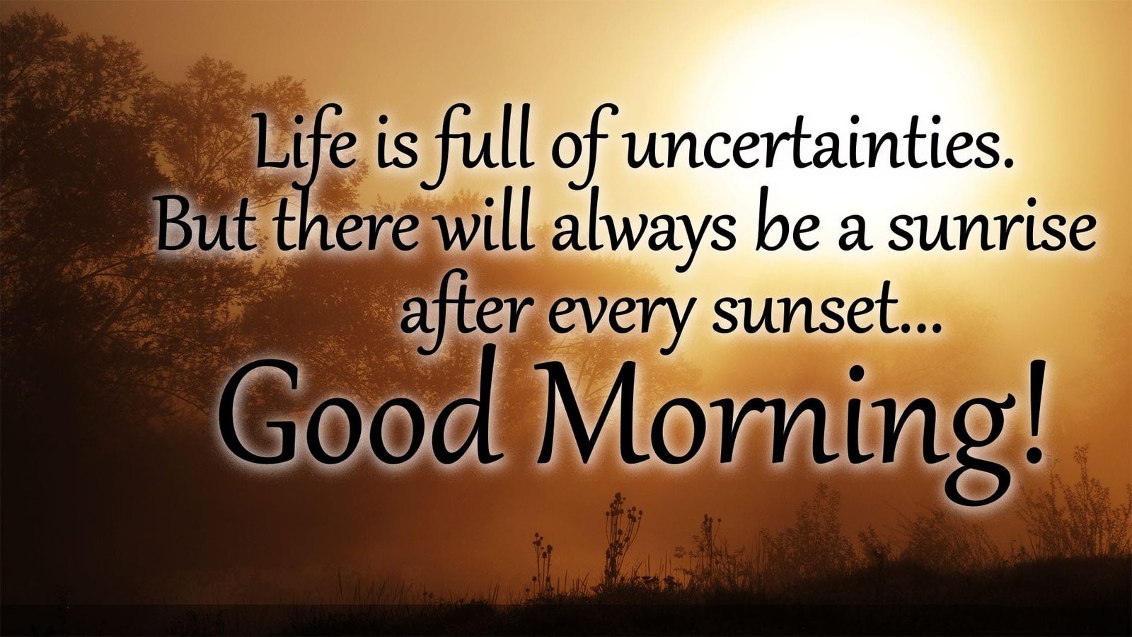 Good Morning Status Images | Good Morning Quotes