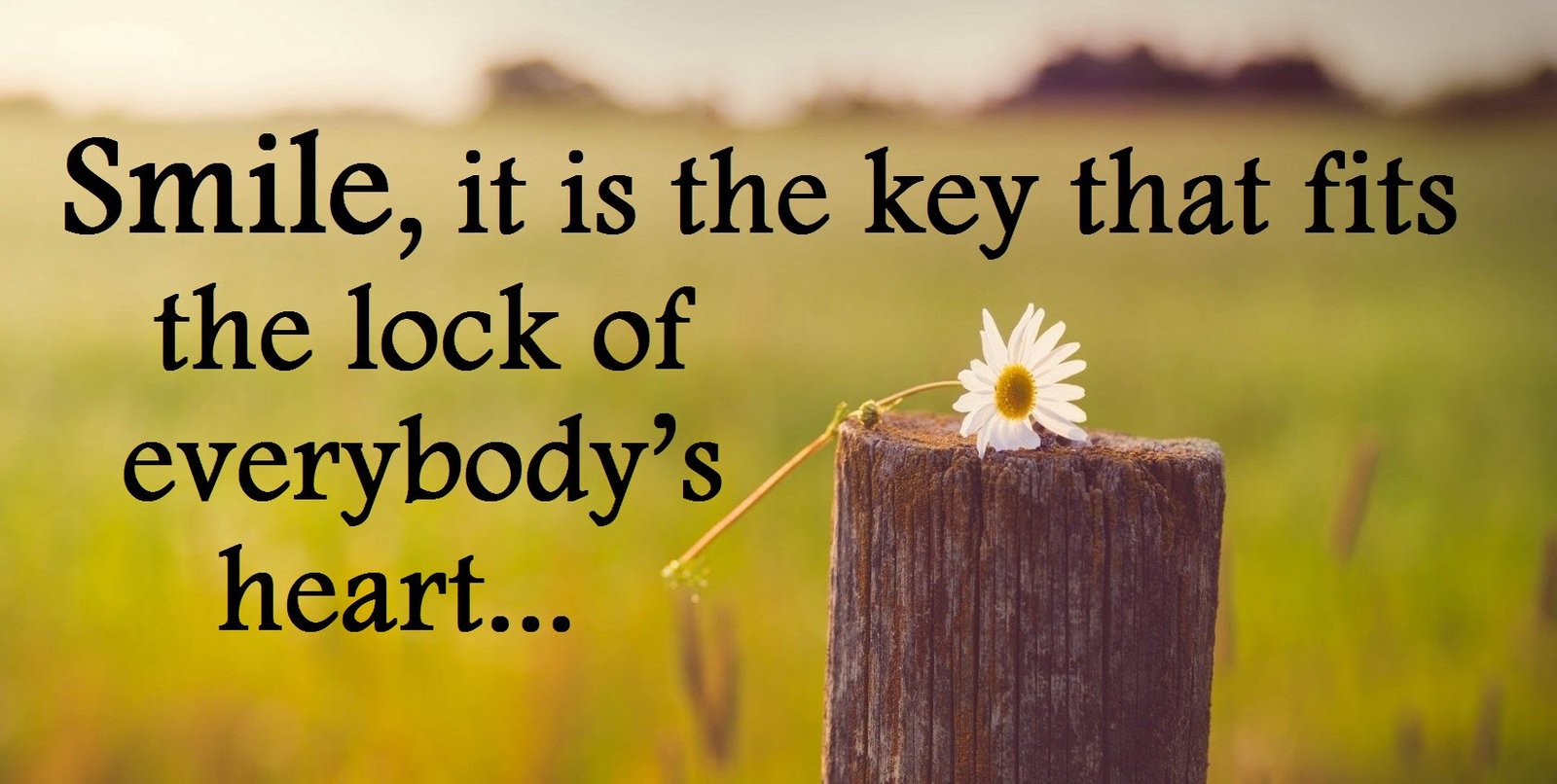 World Smile Day | Beautiful Smile Quotes Images & Pictures