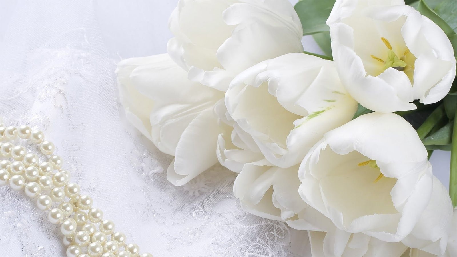 Beautiful Flower Images & HD Pictures 2018 | Flower Wallpapers 2018