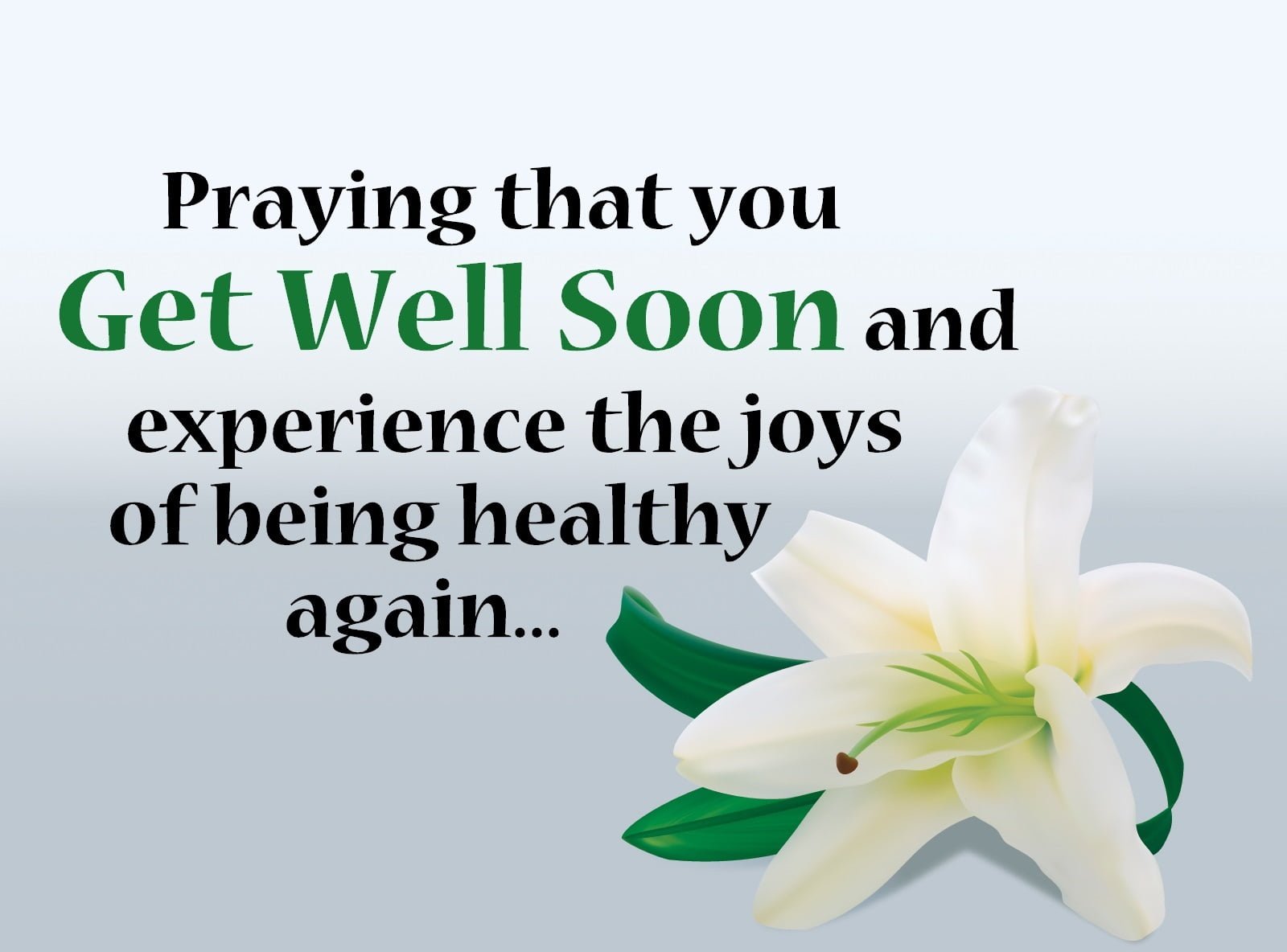 Get Well Soon Quotes, Wishes, Messages & Cards Images