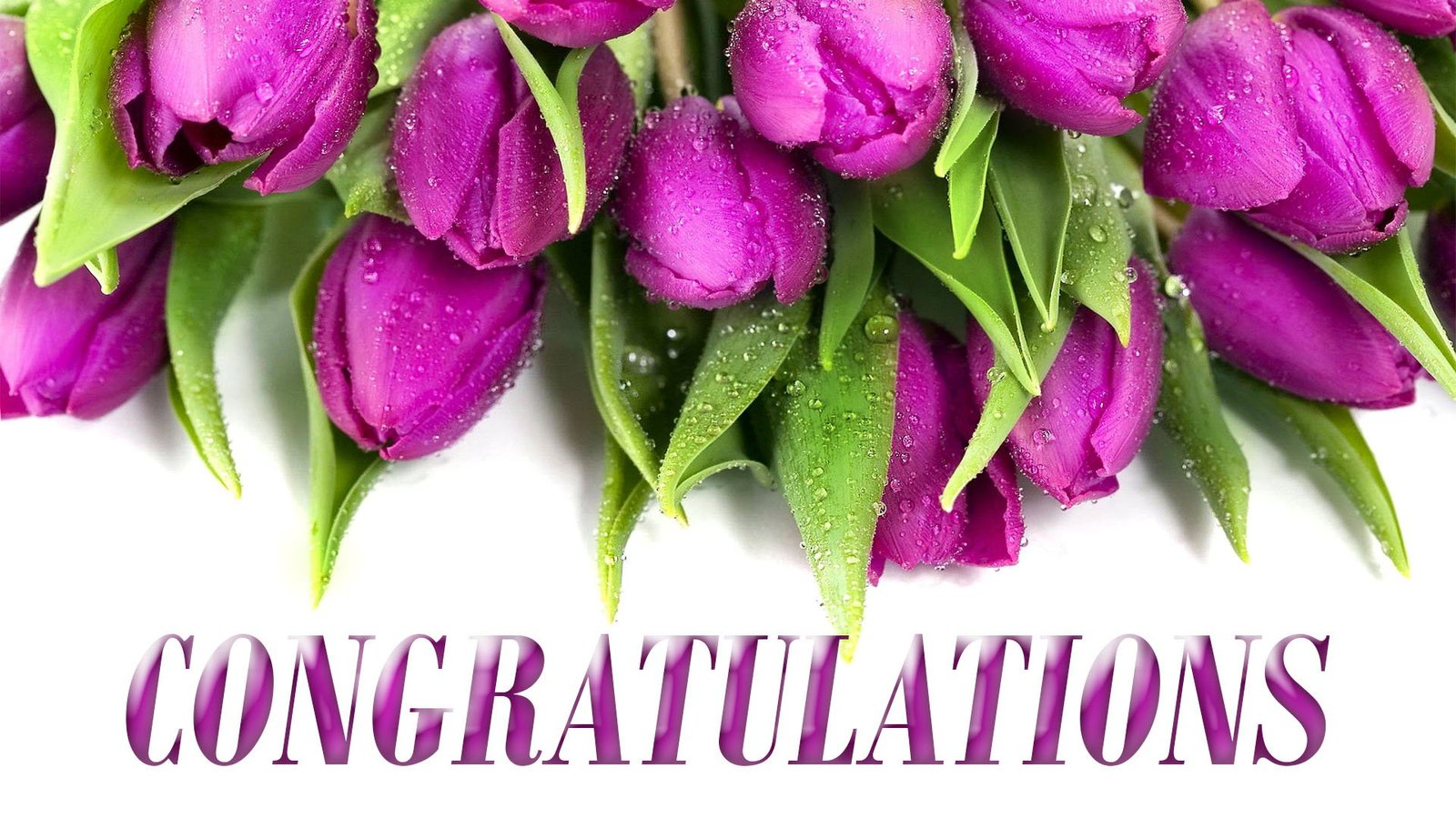 Congratulations Cards Images | Congratulations Messages
