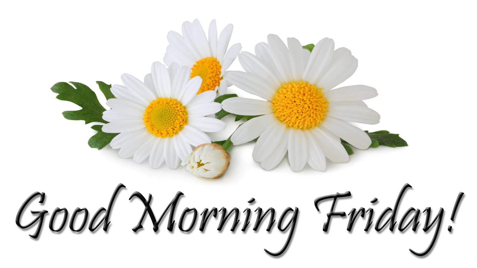 Good Morning Images & HD Pictures For All Week Days