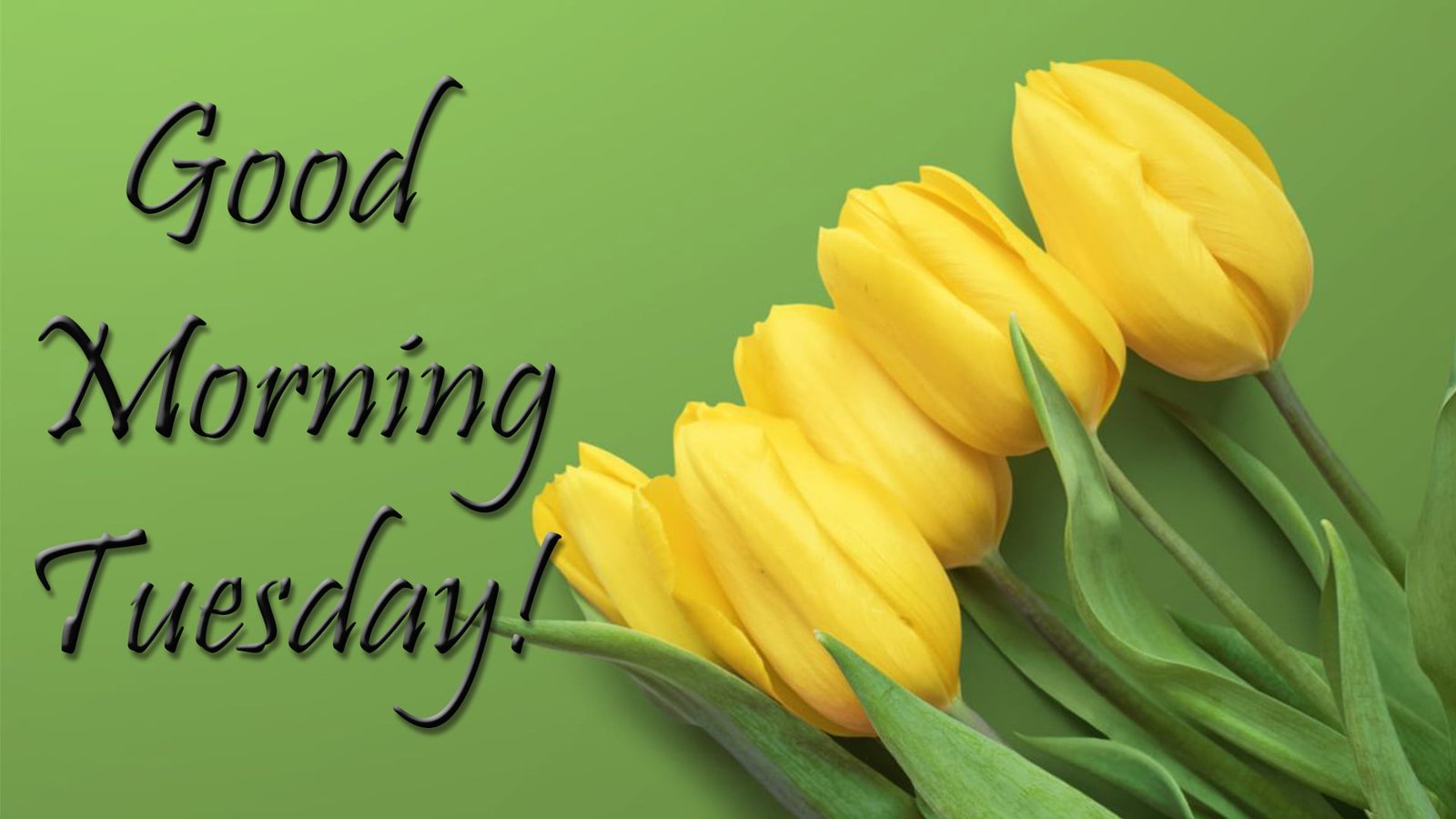 Good Morning Images & HD Pictures For All Week Days