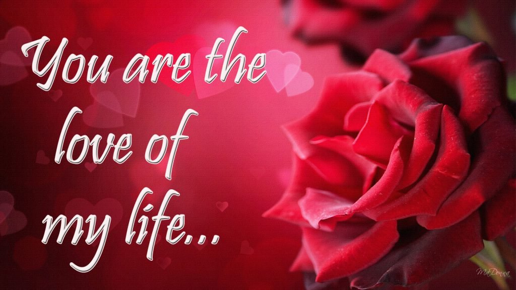 You Are The Love of My Life Images & Pictures | Love Quotes