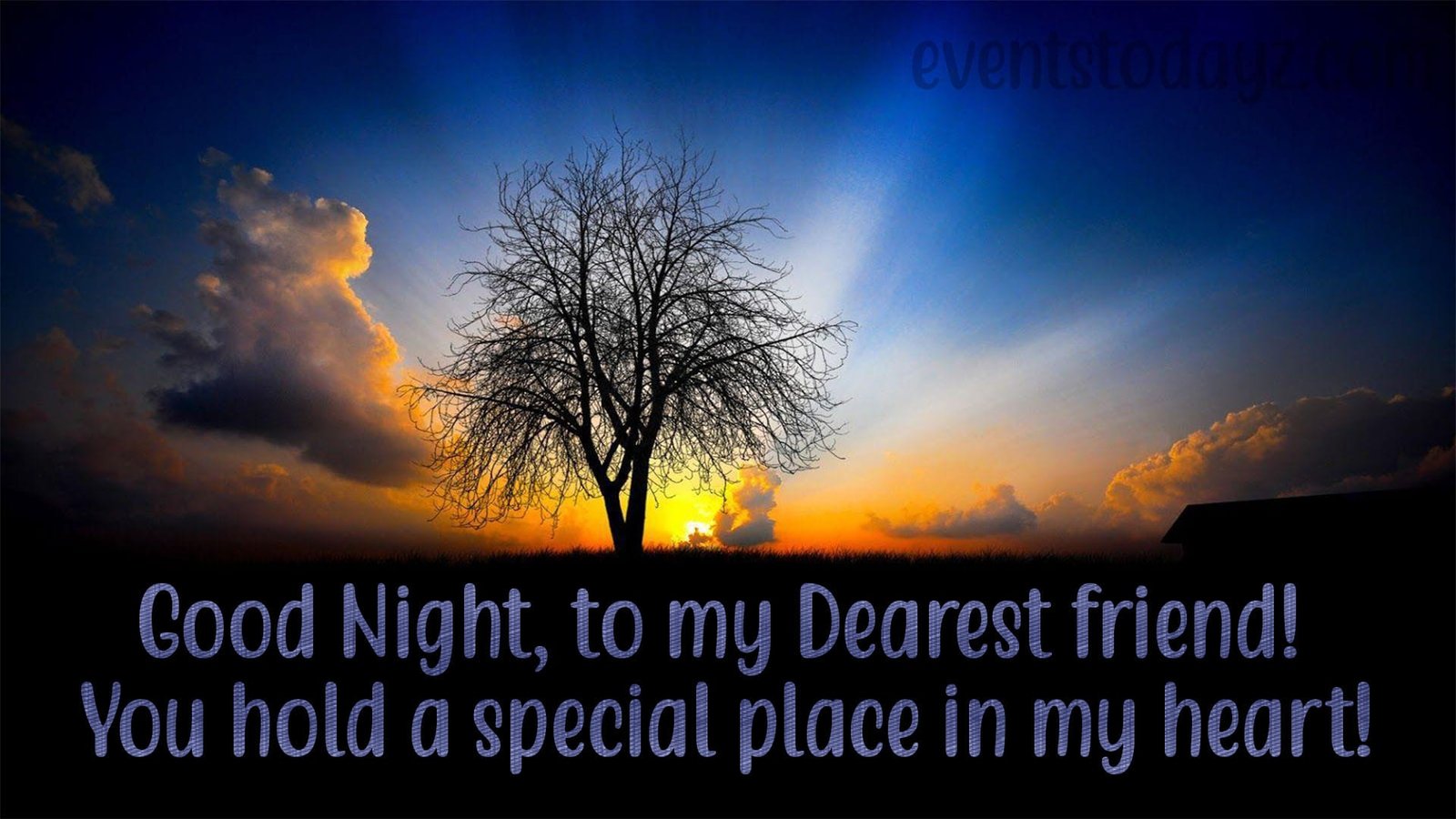 Sweet Good Night Wishes, Quotes & Messages With Images