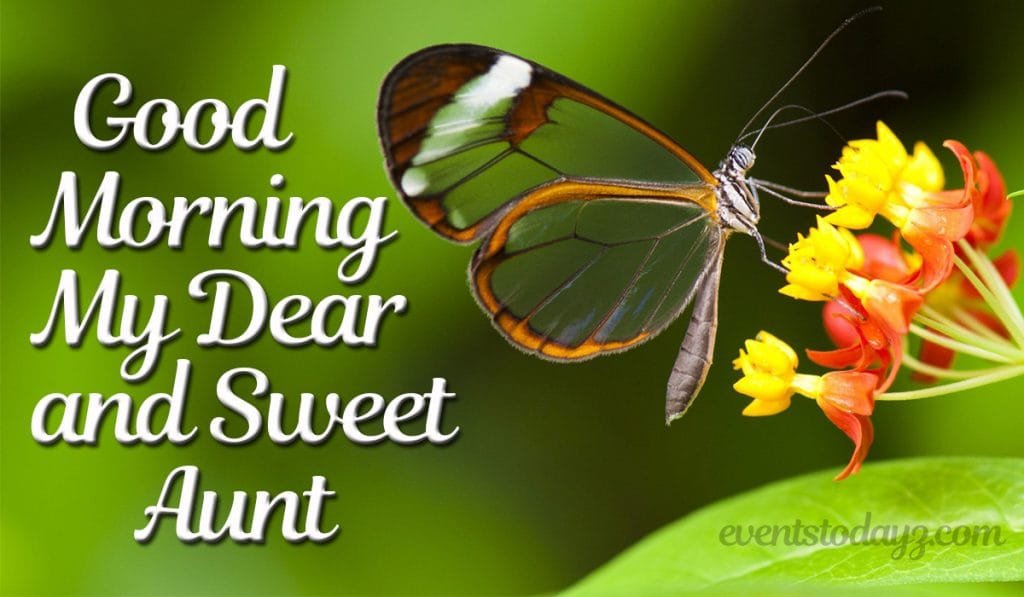 Good Morning Aunt Wishes, Quotes & Messages With GIF Images