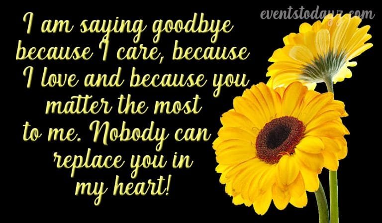 Heartfelt Goodbye Messages & Quotes | Farewell Messages