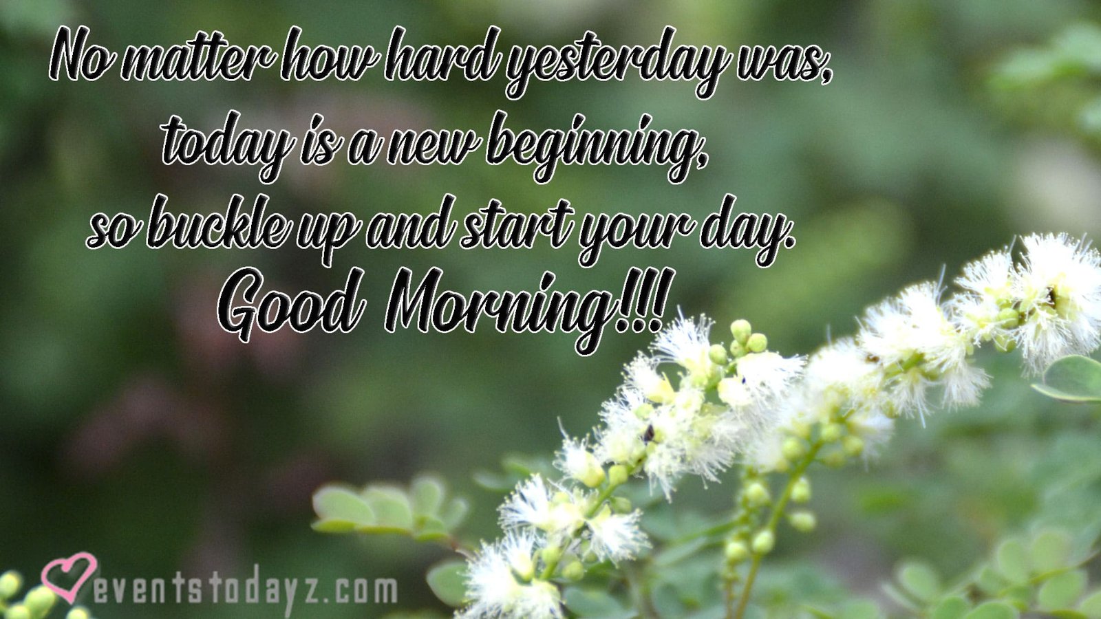Good Morning Wishes, Greetings & Messages Images Download