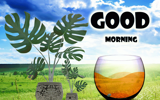 Animated Good Morning GIF With Greetings & Messages