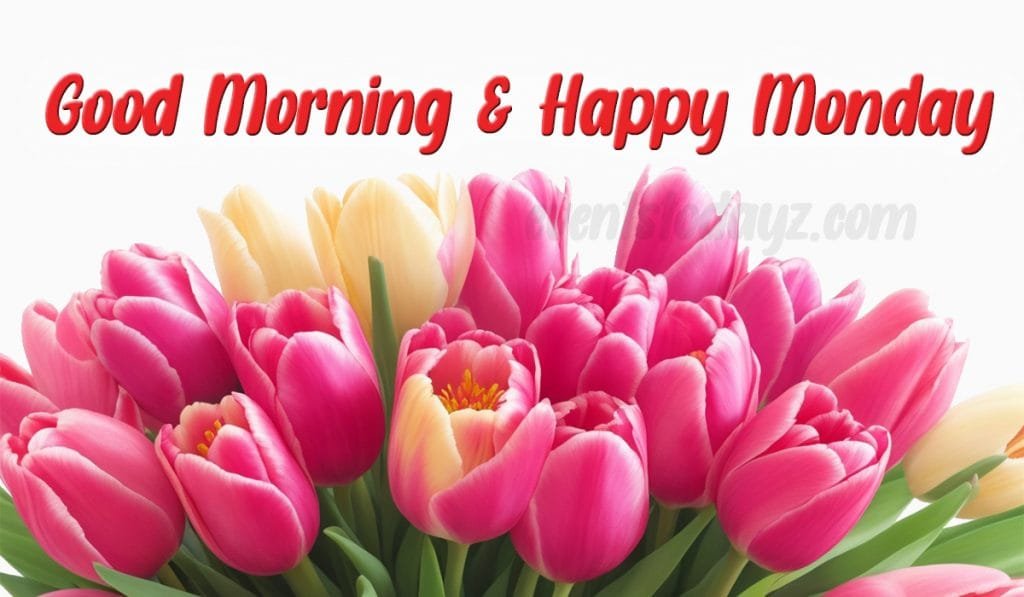 Good Morning Monday Wishes & Quotes | Happy Monday Morning