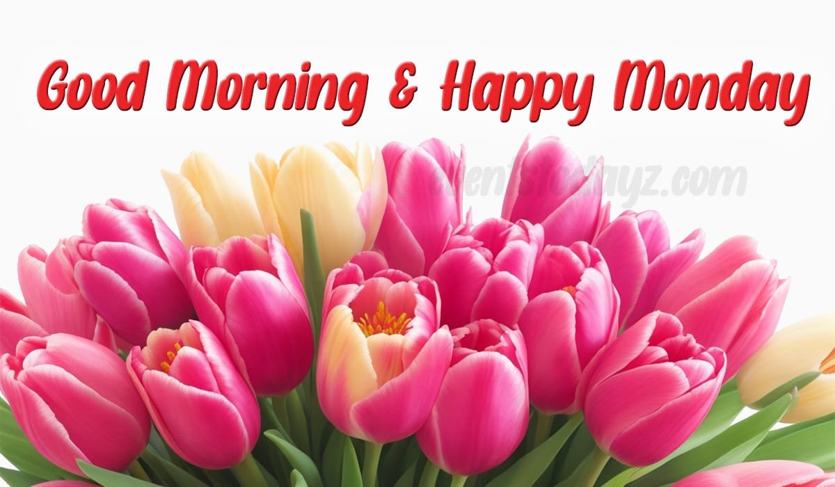 Good Morning Monday Wishes & Quotes | Happy Monday Morning